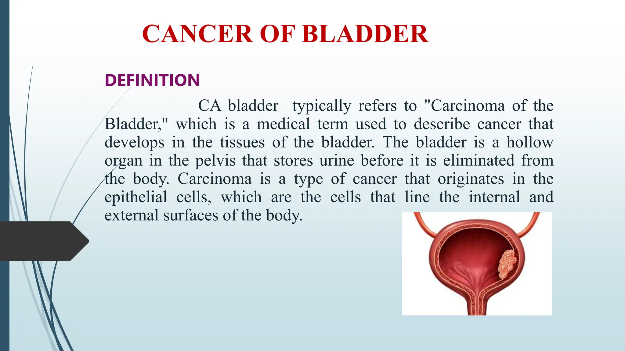 urinary tract infection for B.sC STUDENTS | PPTX