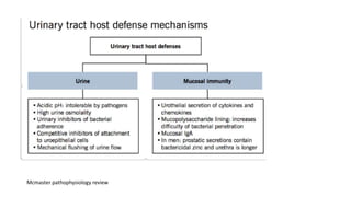 URINARY TRACT INFECTION (2).pptx