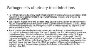 URINARY TRACT INFECTION (2).pptx