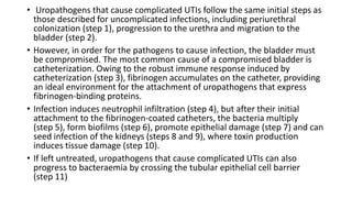 URINARY TRACT INFECTION (2).pptx