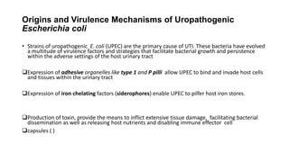 URINARY TRACT INFECTION (2).pptx