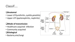 URINARY TRACT INFECTION (2).pptx