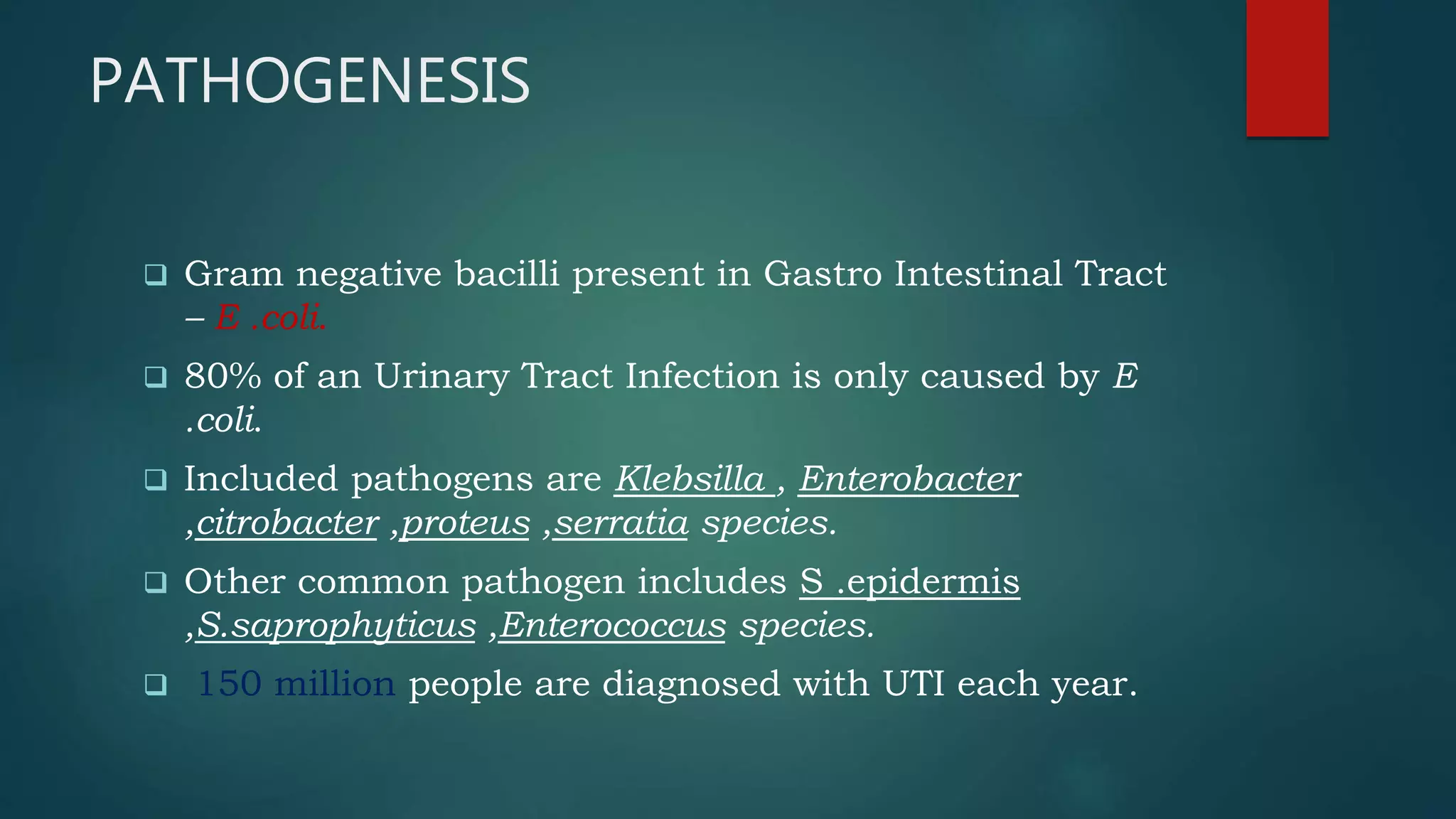 Urinary tract infection | PPTX