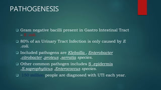 Urinary tract infection | PPTX