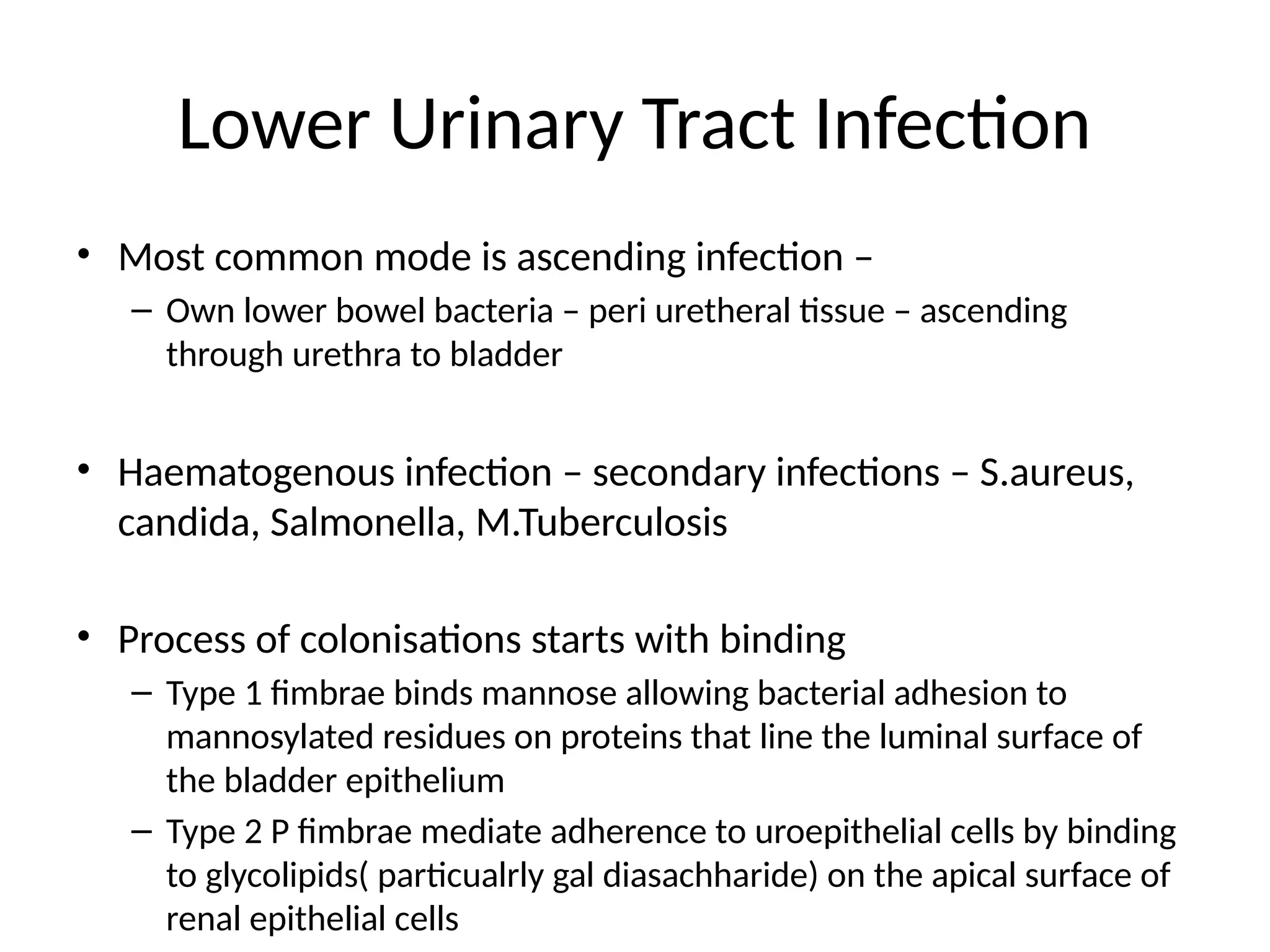 Urinary Tract Infection all slides - Final (1).pptx