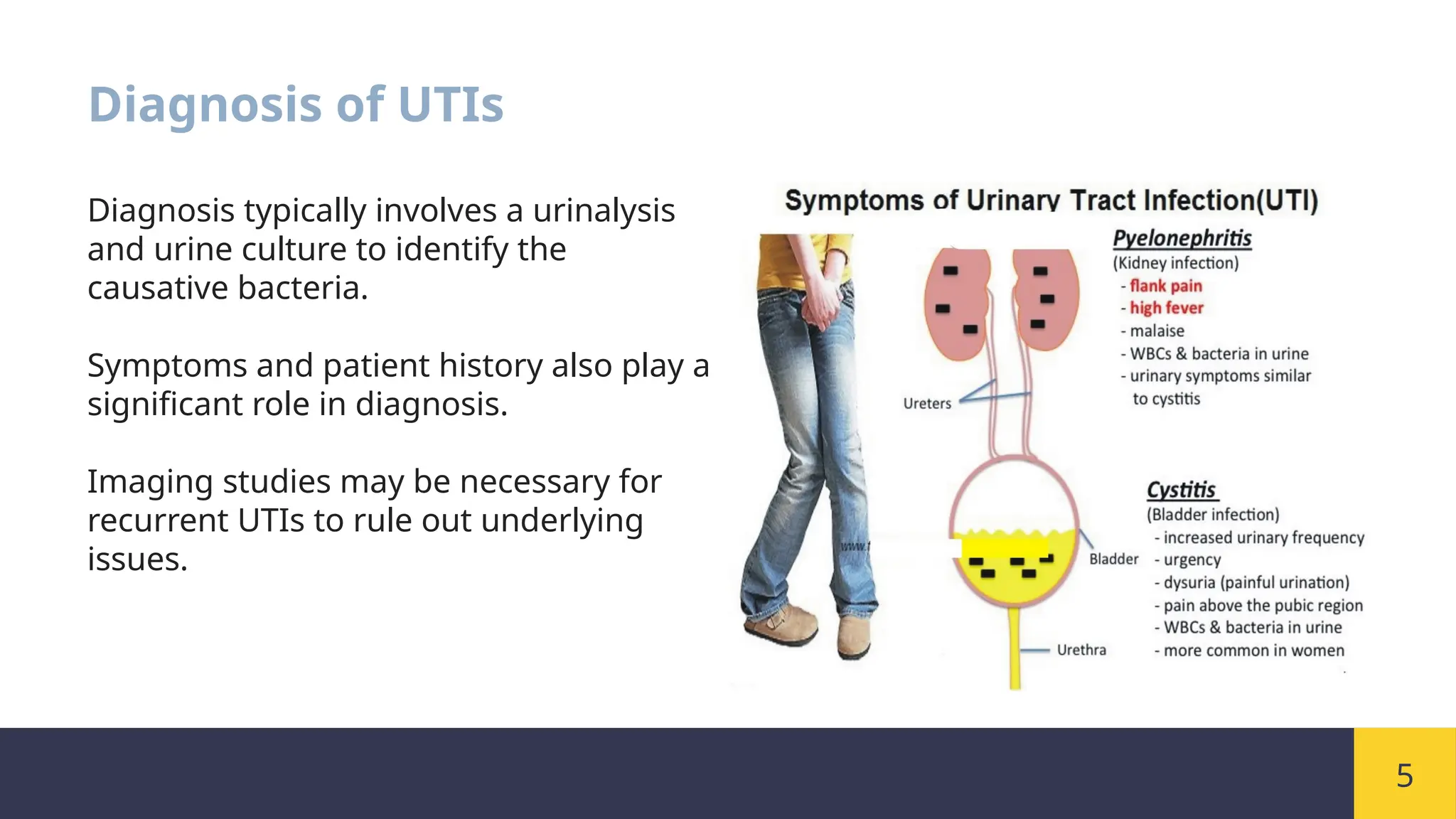Urinary Tract Infection And Renal Stone Pathology.pptx
