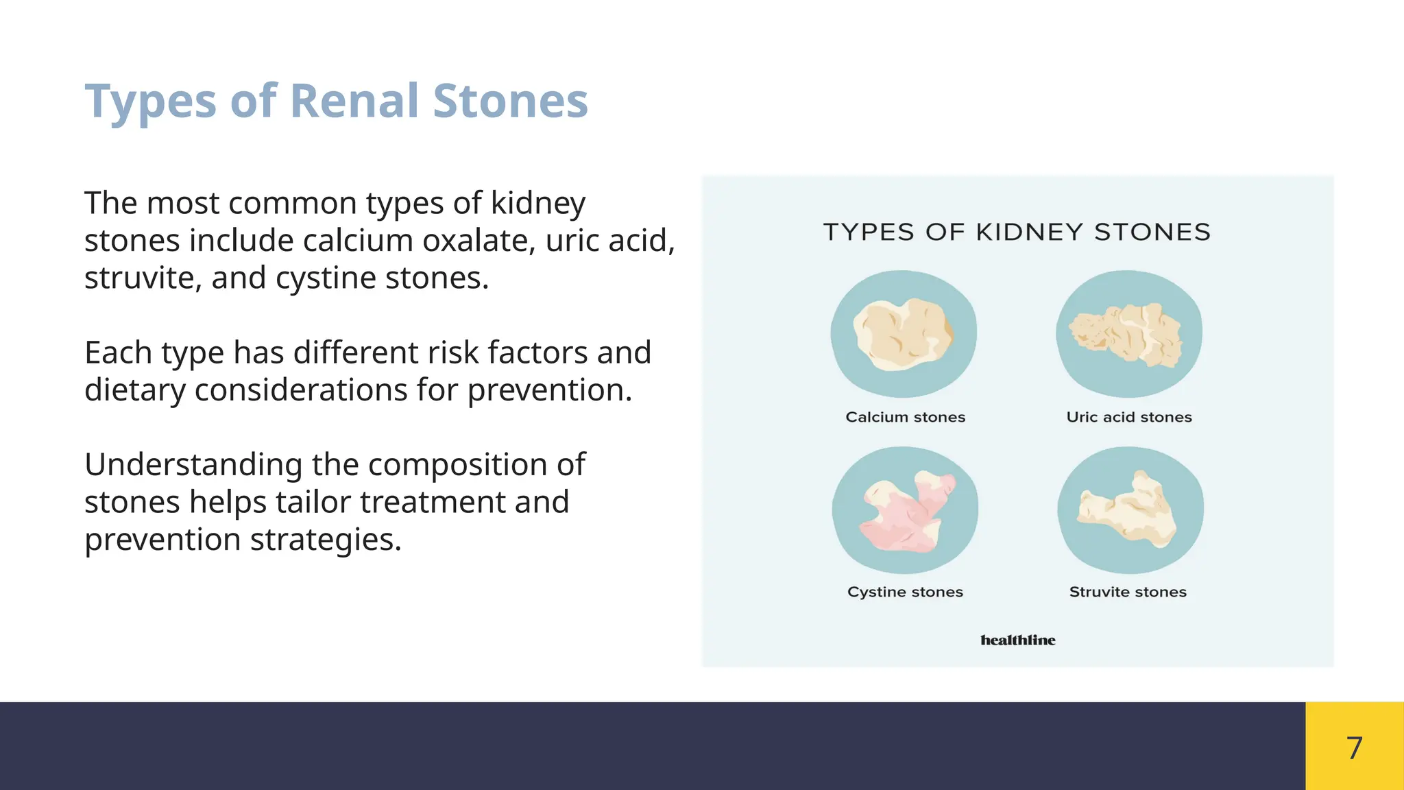 Urinary Tract Infection And Renal Stone Pathology.pptx