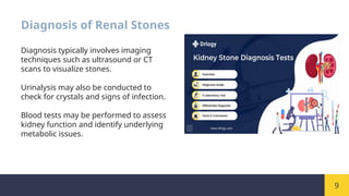 Urinary Tract Infection And Renal Stone Pathology.pptx