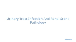 Urinary Tract Infection And Renal Stone Pathology.pptx