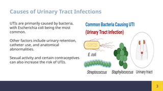 Urinary Tract Infection And Renal Stone Pathology.pptx