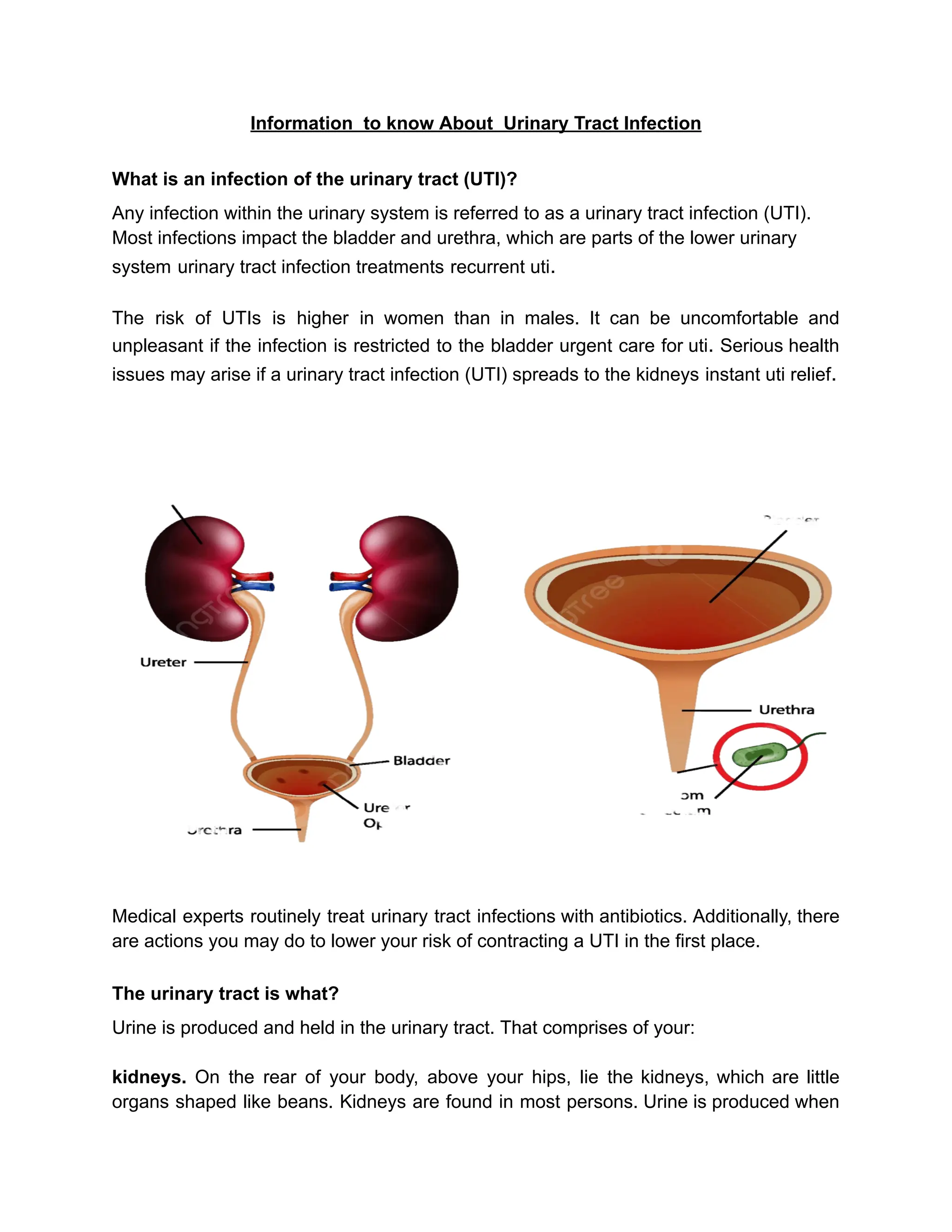 Information to know About Urinary Tract Infection | PDF