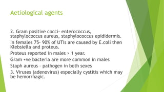 Urinary tract infection in children.pptx