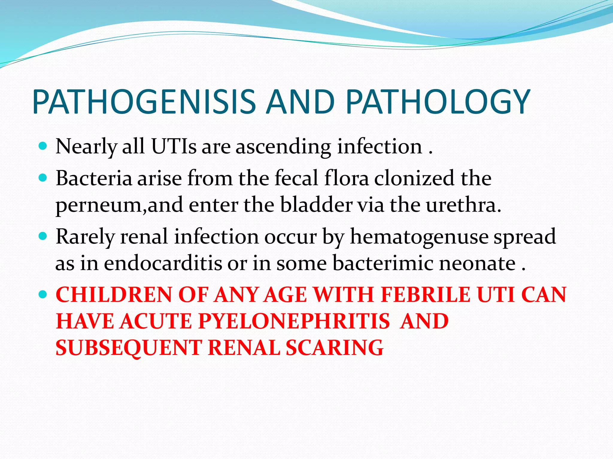 URINARY TRACT INFECTION IN CHILDREN 2.pptx