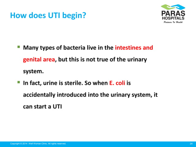 Urinary tract infection in females | PPT