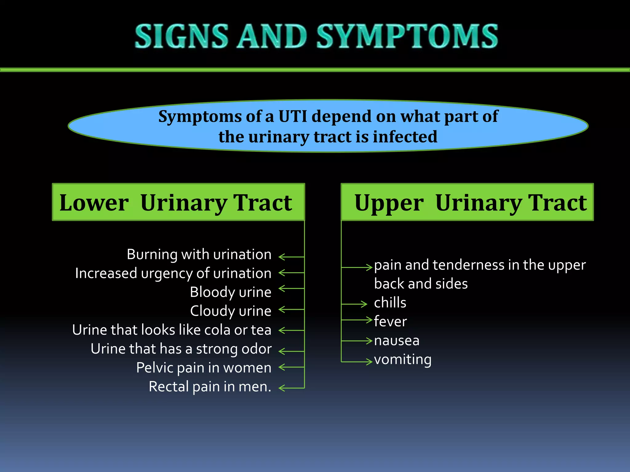 Urinary tract infection ppt | PPTX