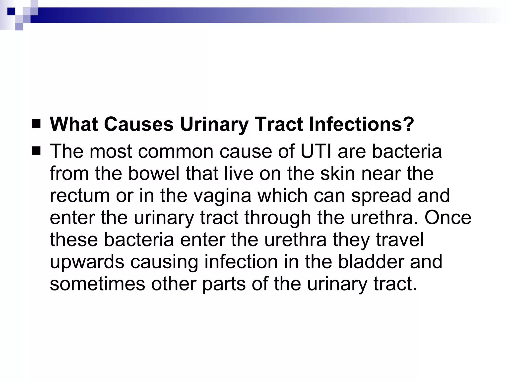 Urinary Tract Infections | PPT