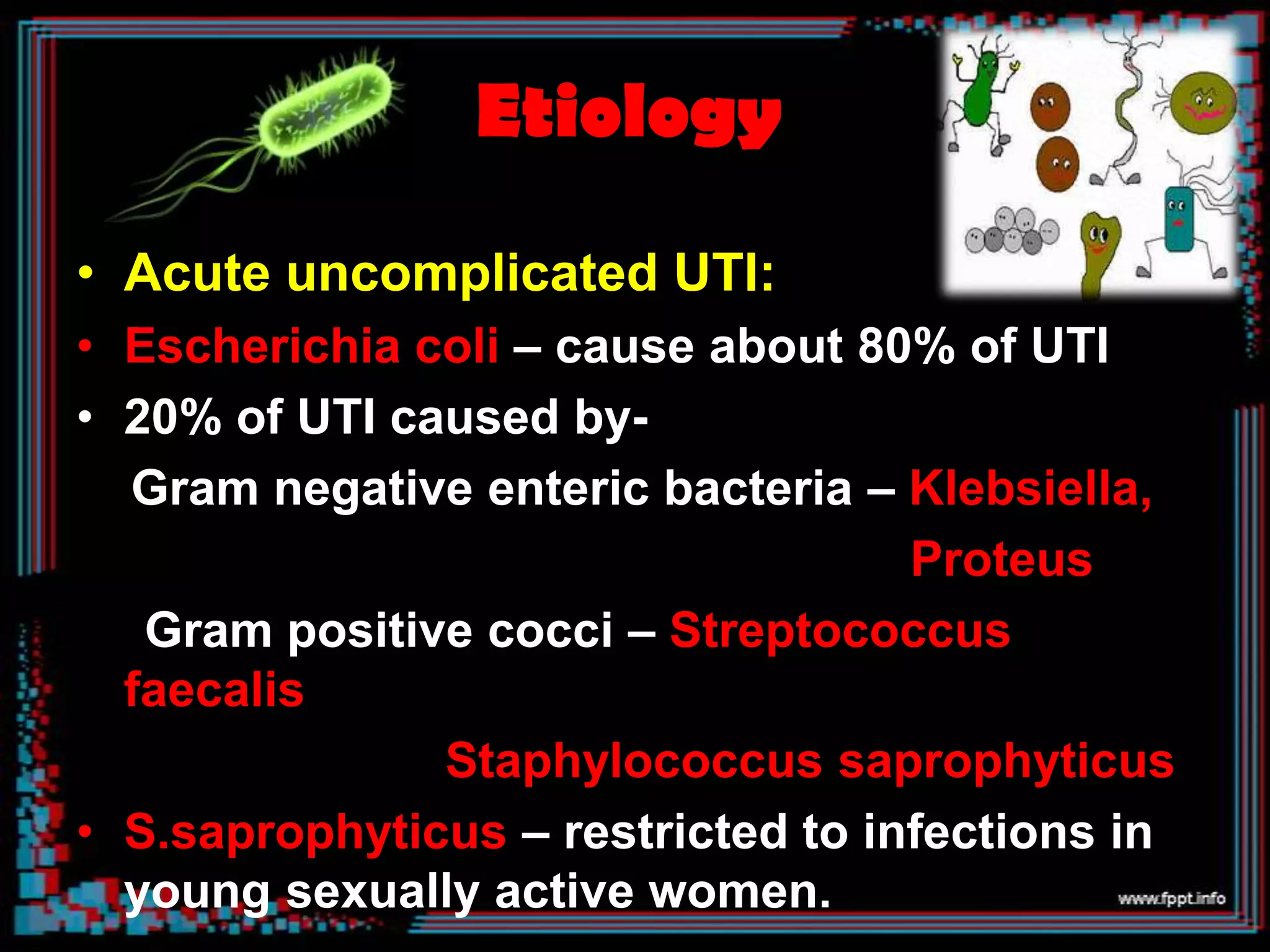 Urinary tract infections | PPTX