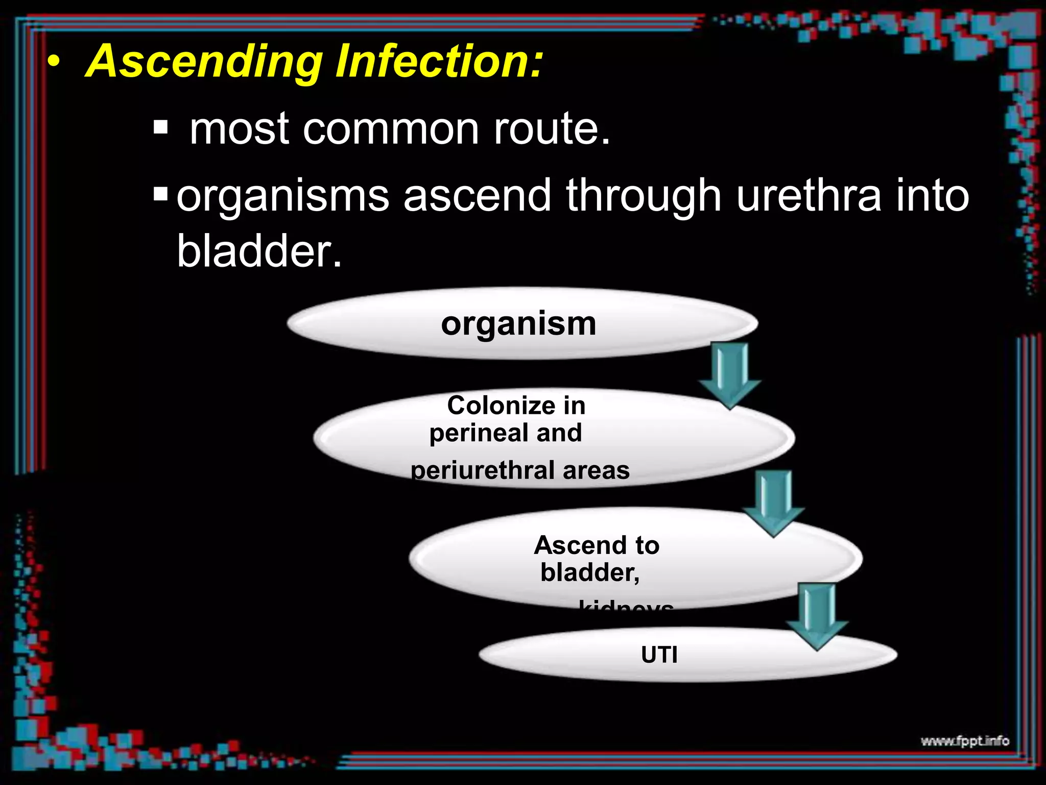Urinary tract infections | PPTX