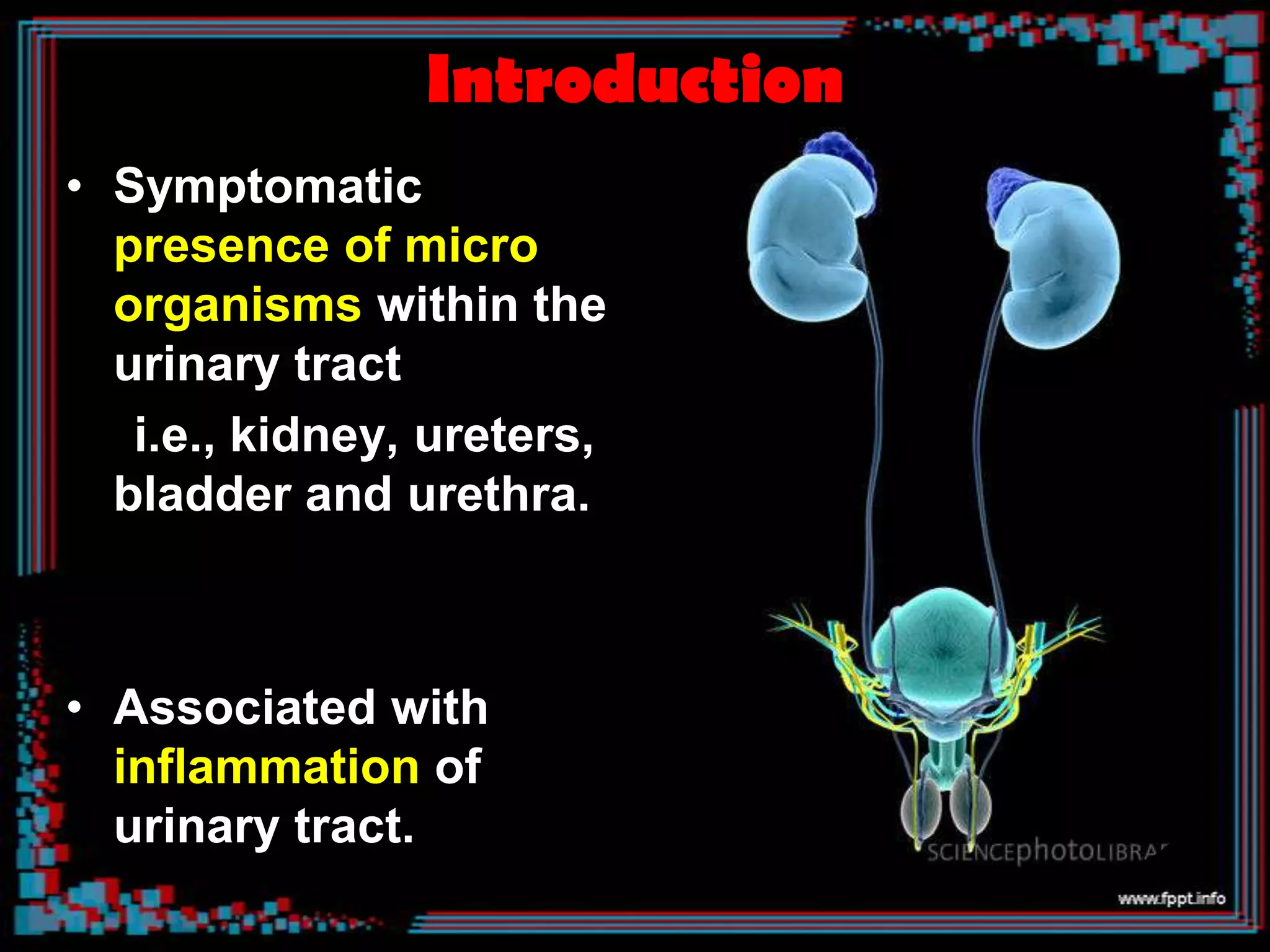 Urinary tract infections | PPTX