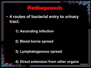 Urinary tract infections | PPTX