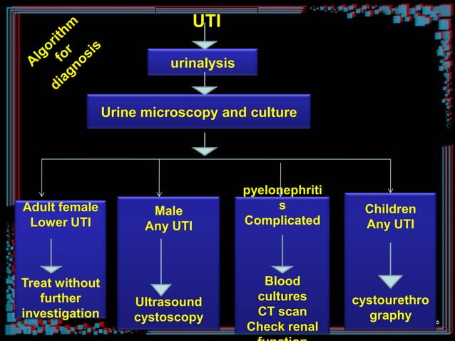Urinary tract infections | PPTX | Infectious Diseases | Diseases and ...