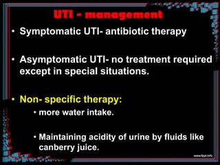 Urinary tract infections | PPTX