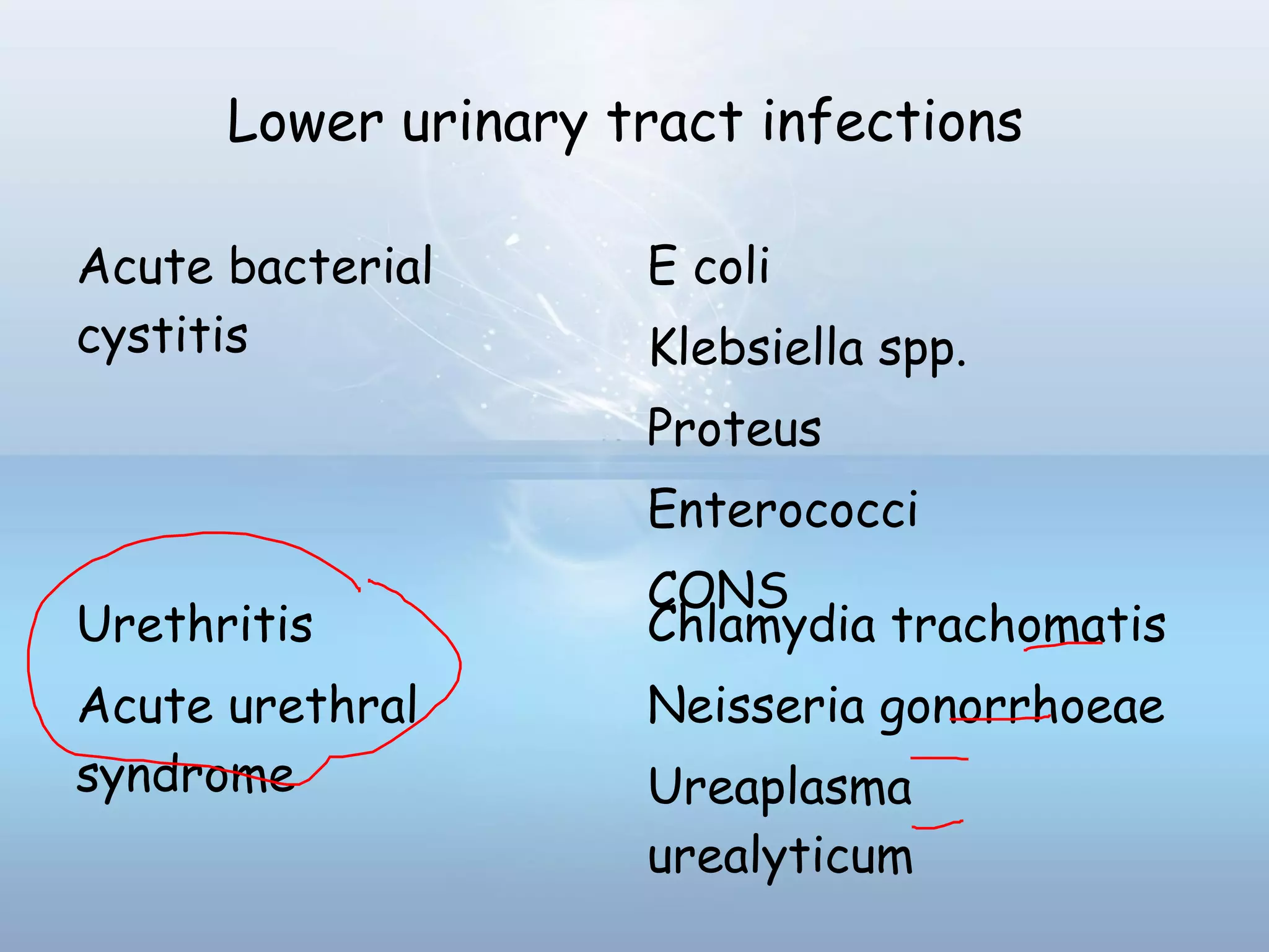 Urinary tract infections | PPT