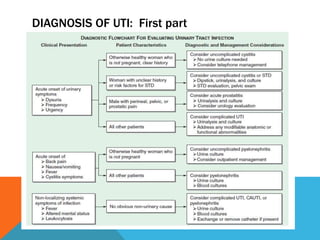 Urinary tract infections | PPSX