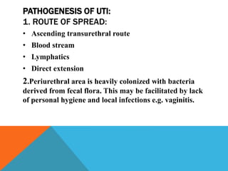 Urinary tract infections | PPSX