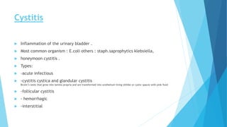 Urinary tract infections | PPTX