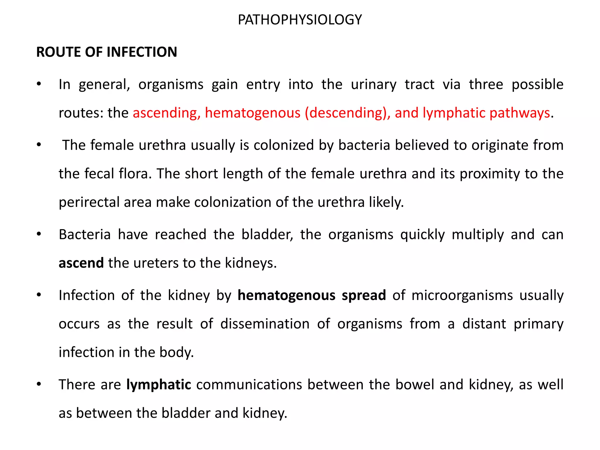 Urinary tract infections - PATHOPHYSIOLOGY (PHARM D) | PPTX