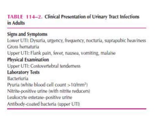 Urinary tract infections - PATHOPHYSIOLOGY (PHARM D) | PPTX