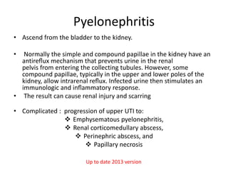 Urinary tract infections | PPT