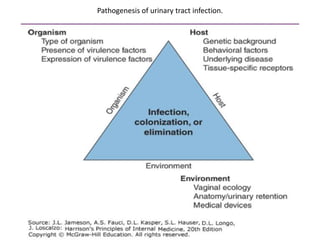 Urinary Tract Infections.pptx