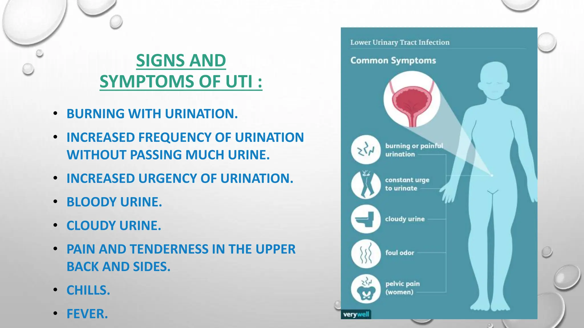 URINARY TRACT INFECTIONS.pptx