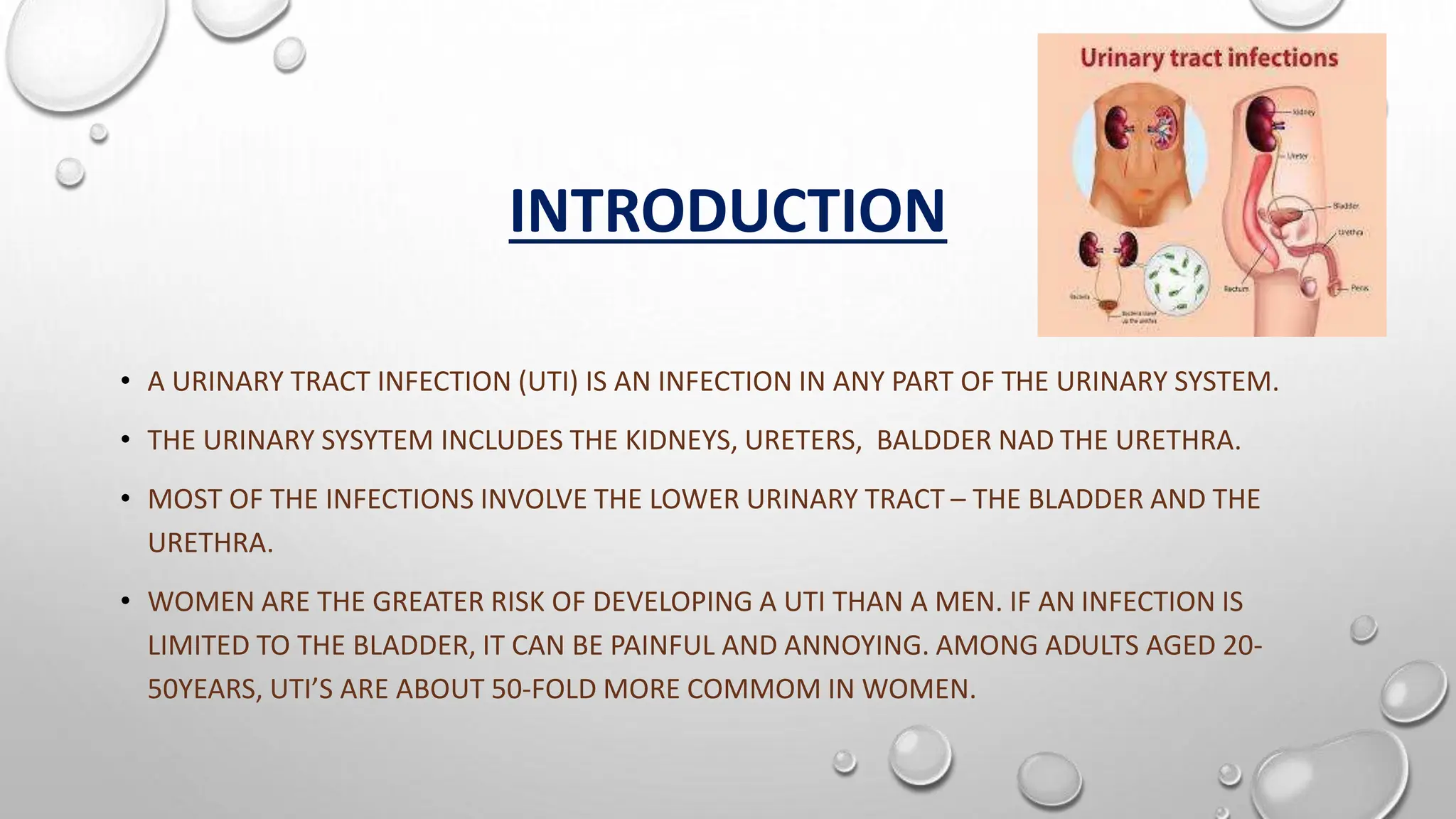 URINARY TRACT INFECTIONS.pptx