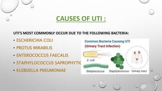 URINARY TRACT INFECTIONS.pptx