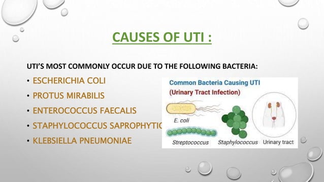 URINARY TRACT INFECTIONS.pptx