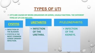 URINARY TRACT INFECTIONS.pptx
