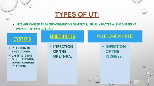 URINARY TRACT INFECTIONS.pptx