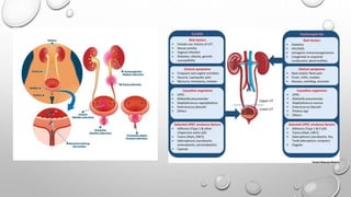 URINARY TRACT INFECTIONS.pptx