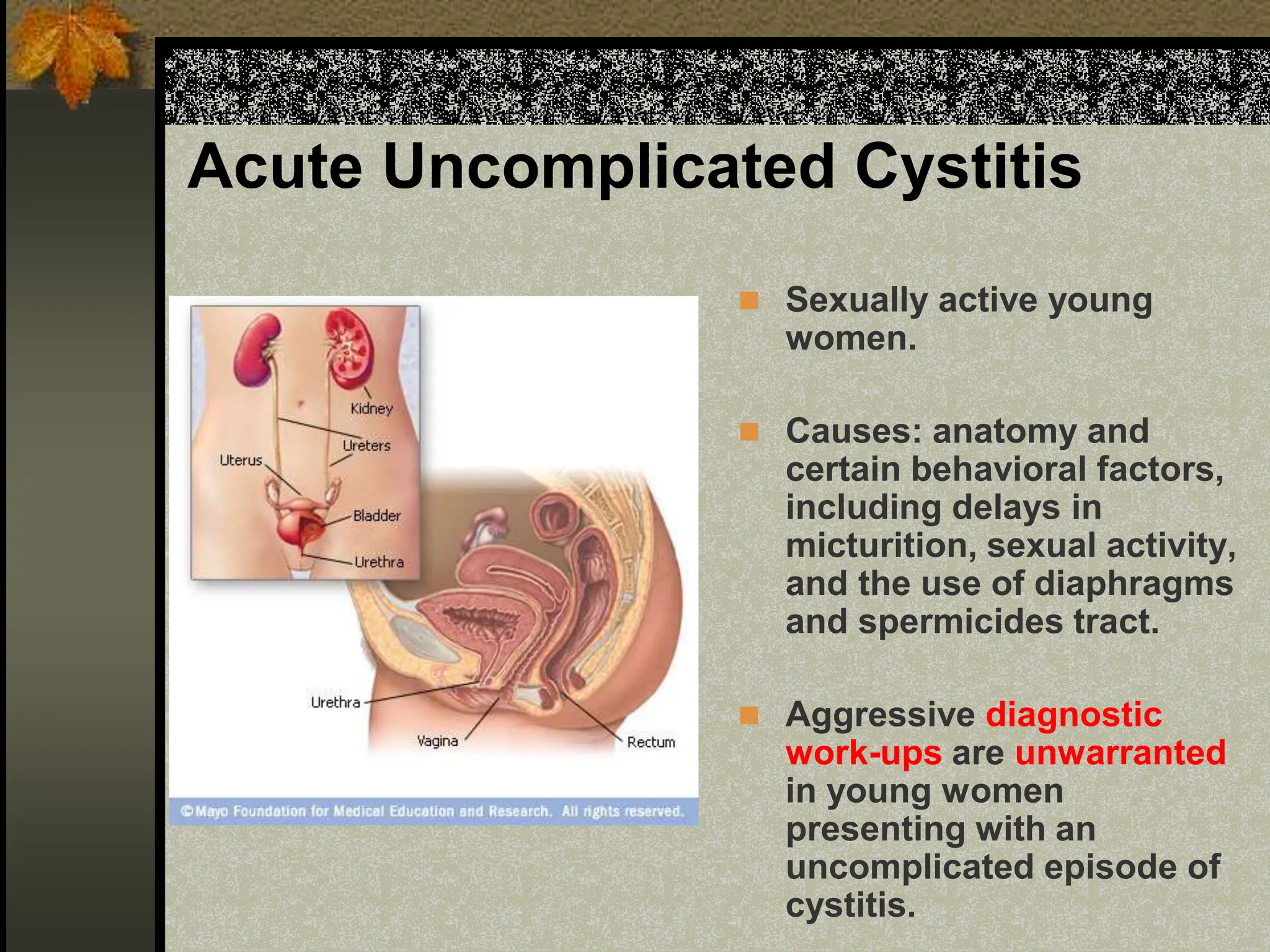Urinary Tract Infections. by Dr Rakam Gopi Krishnappt | PPT