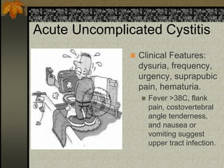 Urinary Tract Infections. by Dr Rakam Gopi Krishnappt | PPT