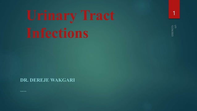 Urinary Tract Infections.pptx