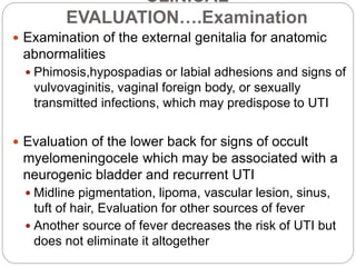 Urinary Tract Infections.pptx