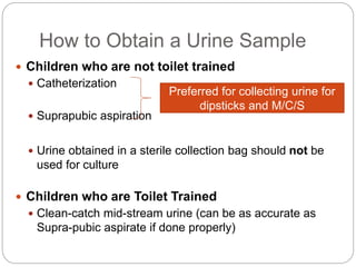 Urinary Tract Infections.pptx
