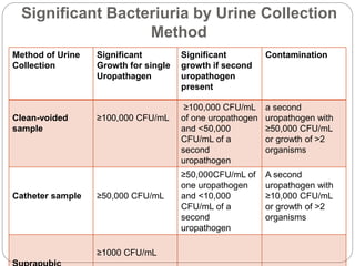 Urinary Tract Infections.pptx