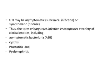 URINARY TRACT INFECTIONS in adult patients | PPTX