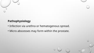 Urinary Tract Infections.. A ppt on introduction to UTIs | PPTX