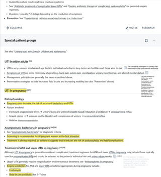 Urinary tract infections (UTI) - AMBOSS.pdf